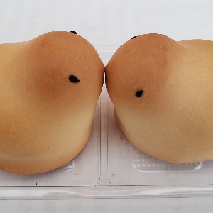 兴光客栈 