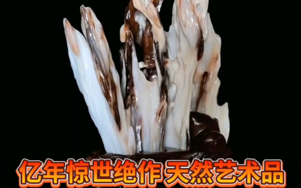 树化玉什么样的品质好?树化玉有没有收藏价值?两亿年前树木形成的树...