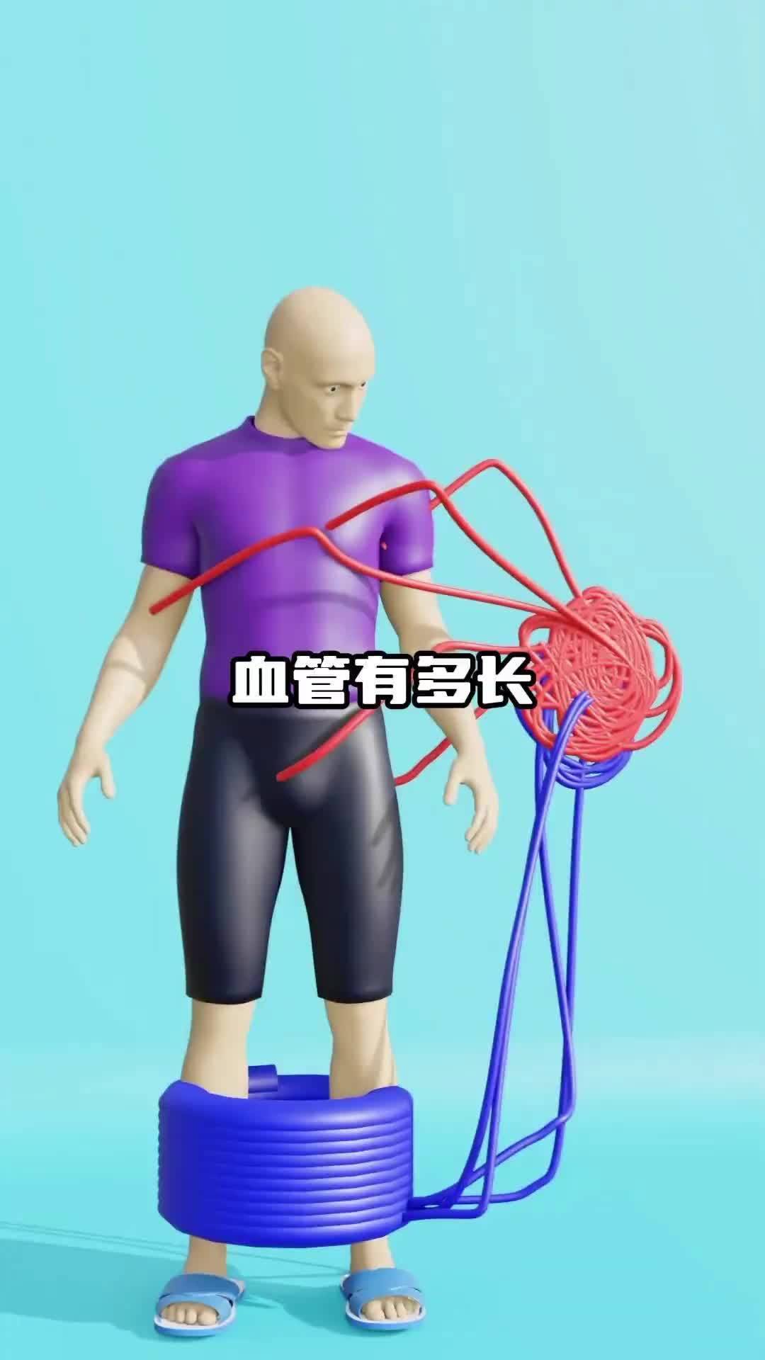 将身体中的所有血管都取出能有多长
