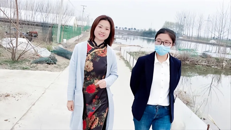 美丽人生农村参观中草药生态养殖园,鸡鸭吃蒲公英桑葚长大的!