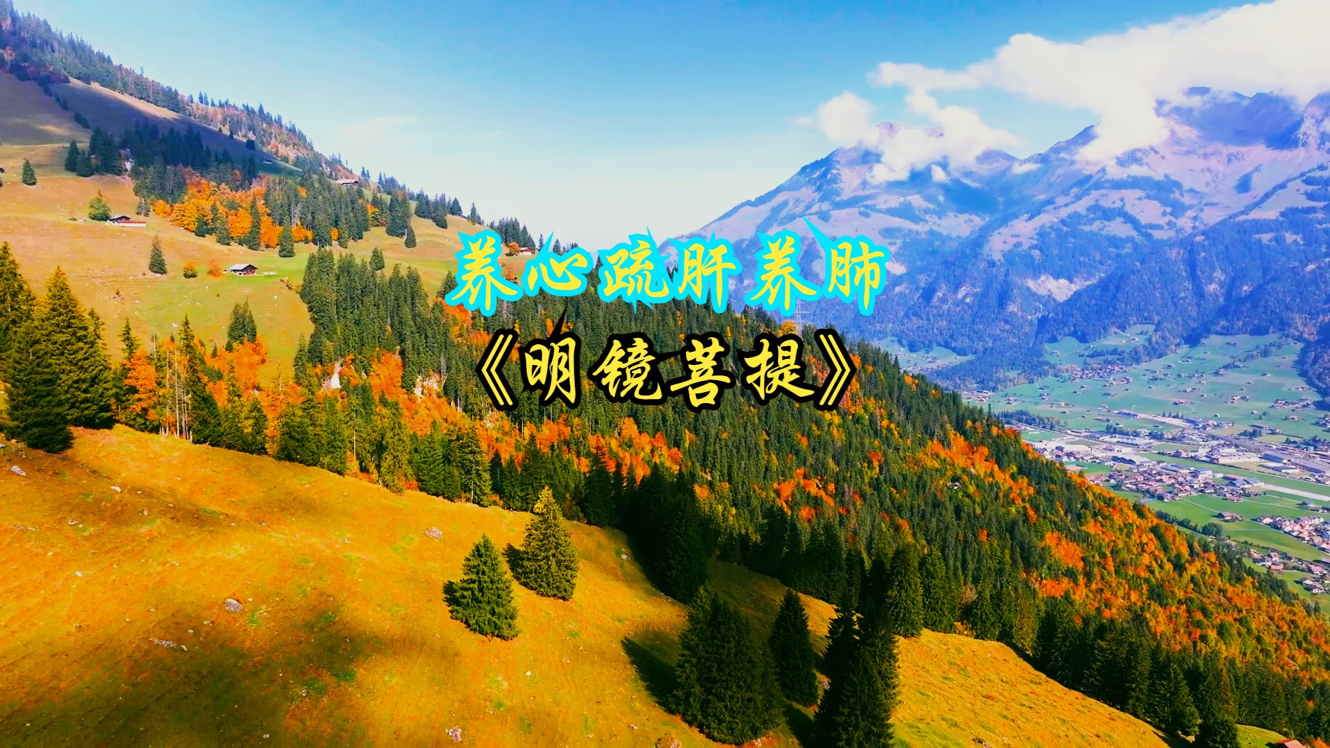 五音疗愈五脏 养心疏肝养肺 静心养神 提升智慧 静心禅音《明镜菩提》