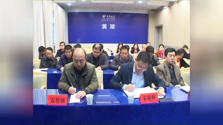 全省宣传文化系统学习宣传贯彻党的十九大精神电视电话会议召开