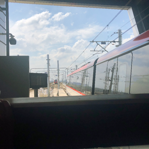 我不是神我是洋 