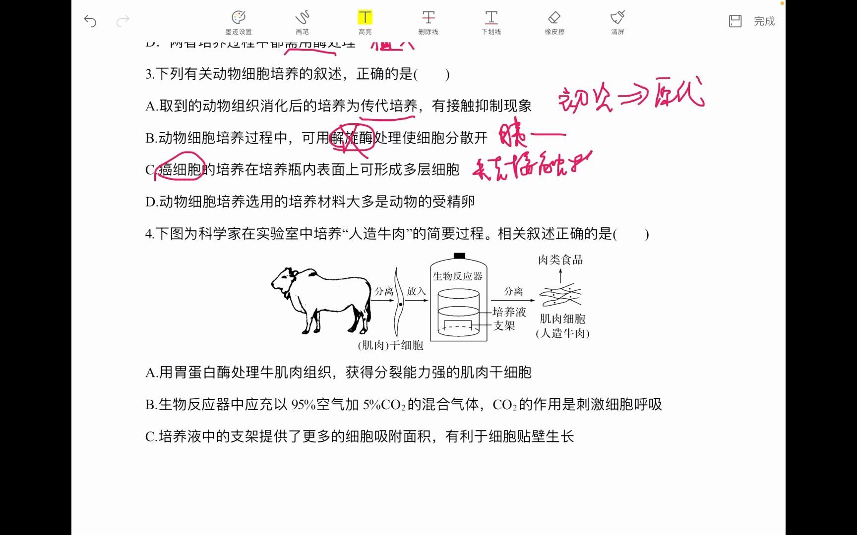 动物细胞工程第2课时培养