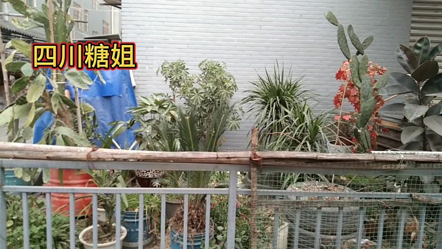 四川绵阳三线城市移动式广播宣传抗击肺炎