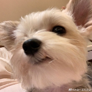 不要翘腿l 