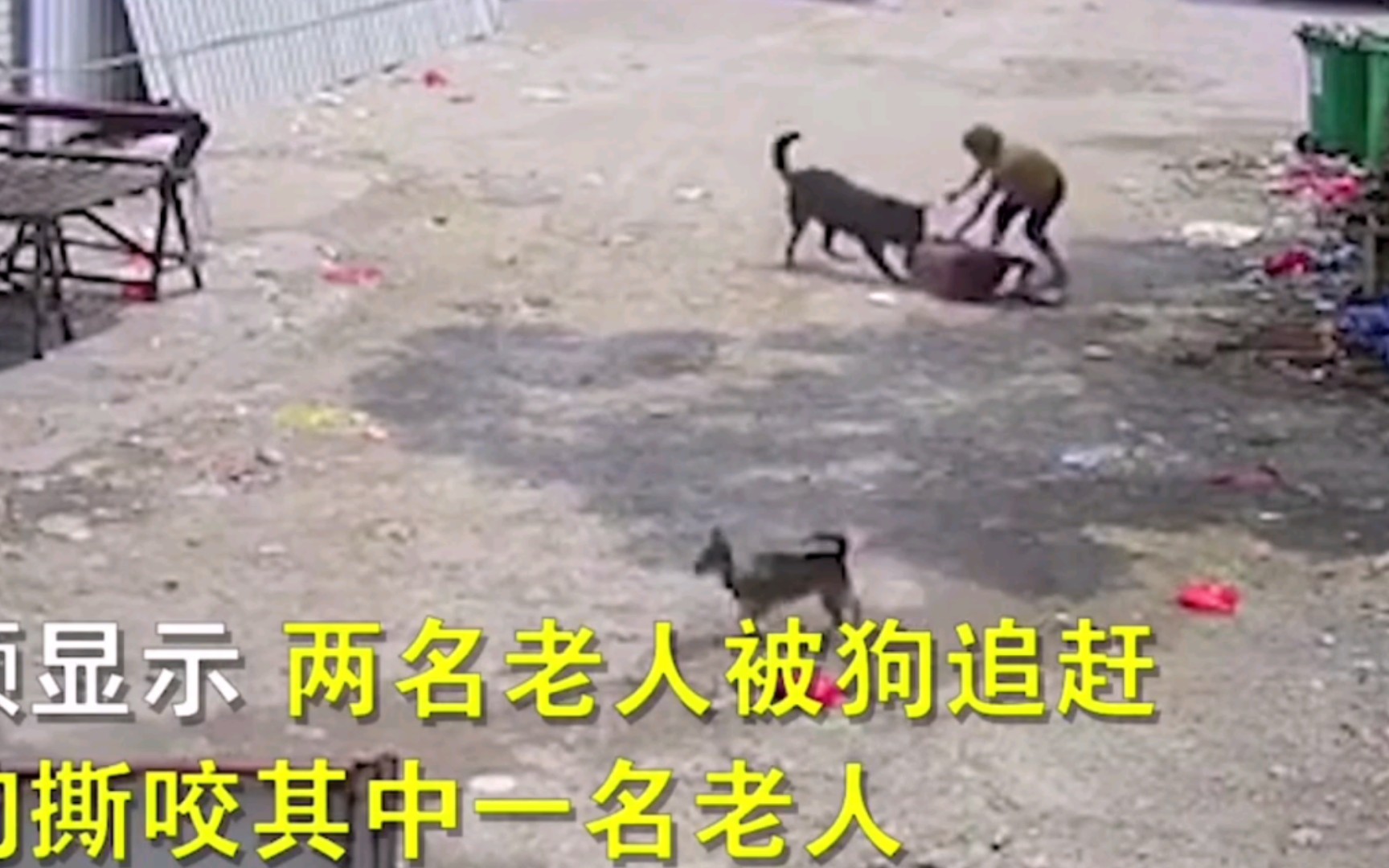 福建一老人街上被狗撕咬身亡 ,暂未确定是流浪狗还是宠物狗