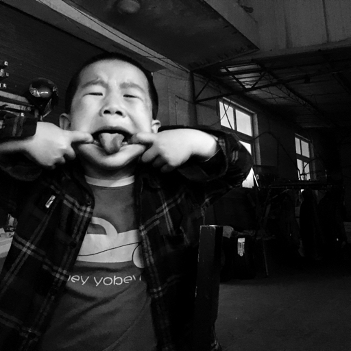 每天都要飞的Pp 