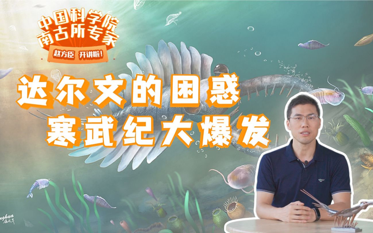 ...古生物学和地质学上的一大悬案!困扰达尔文的生命起源未解之谜!...