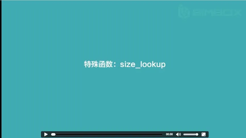 37.特殊函数:size_lookup