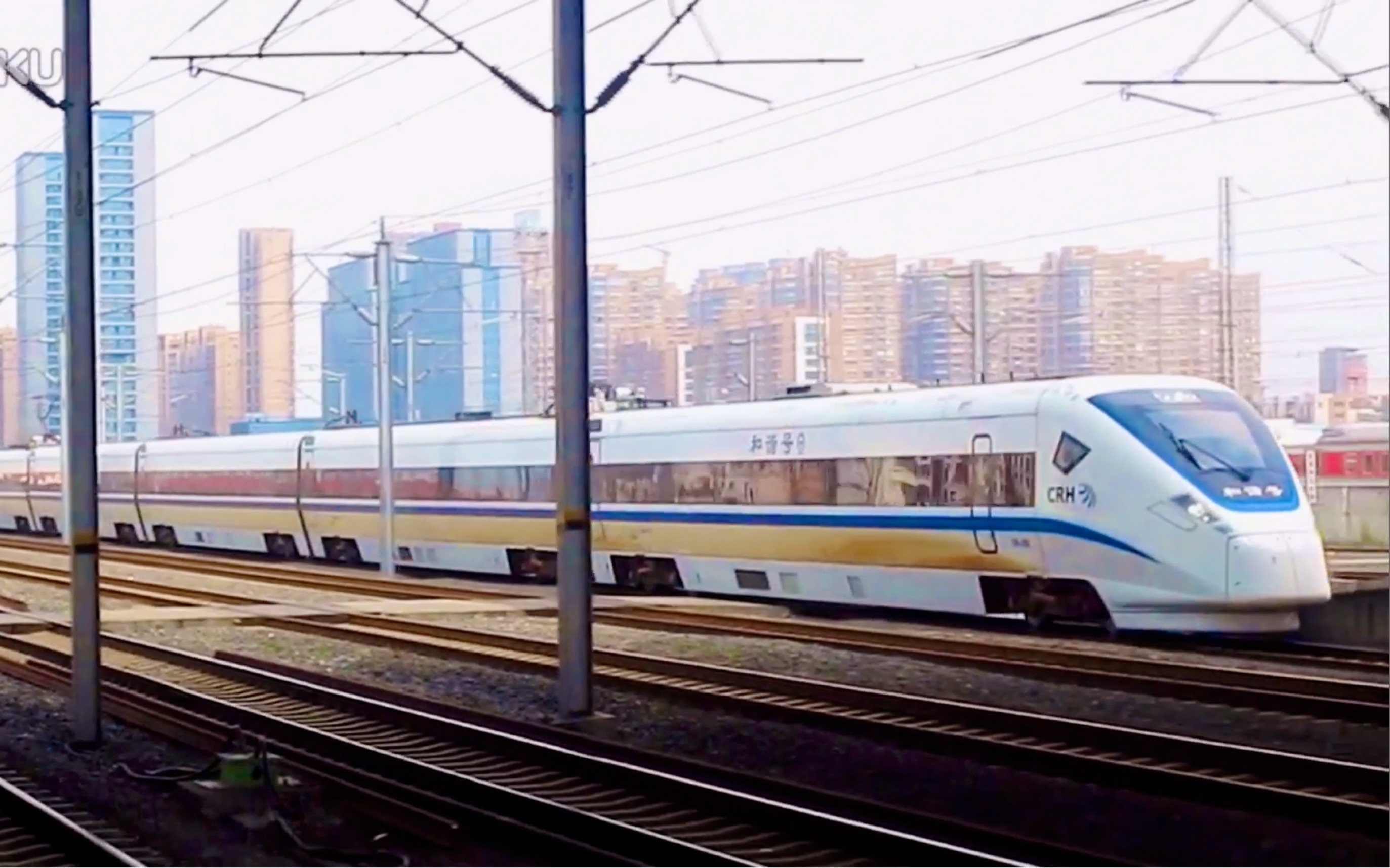 【动车组户口】[上局杭段] CRH1E-1065 担当 D3208次 厦门北-上海...