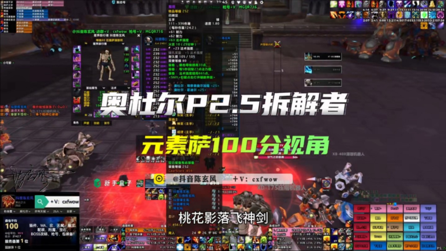 魔兽世界怀旧服 奥杜尔P2.5 拆解者-元素萨无灌注无专注100分视角~_...