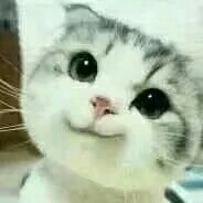 余庆半千 