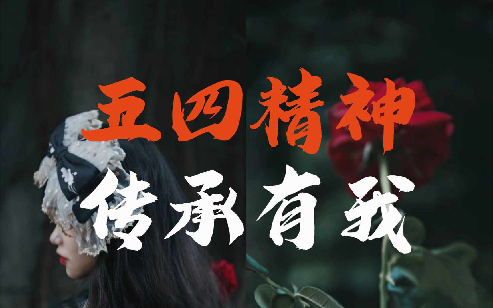 Abaqus二维模型