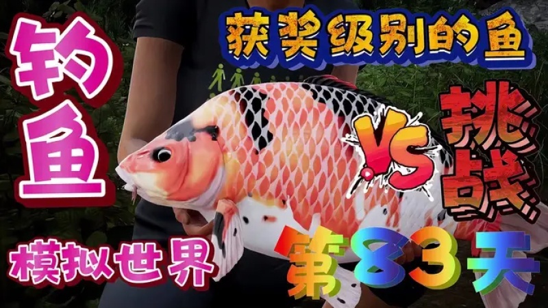 《钓鱼模拟世界》获奖级别的鱼挑战第83天,鲤鱼14.10千克