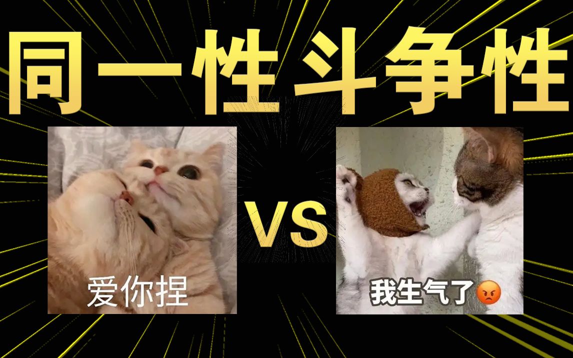 一听就会!详解矛盾的同一性与斗争性的关系!你的政治必修四有救了!