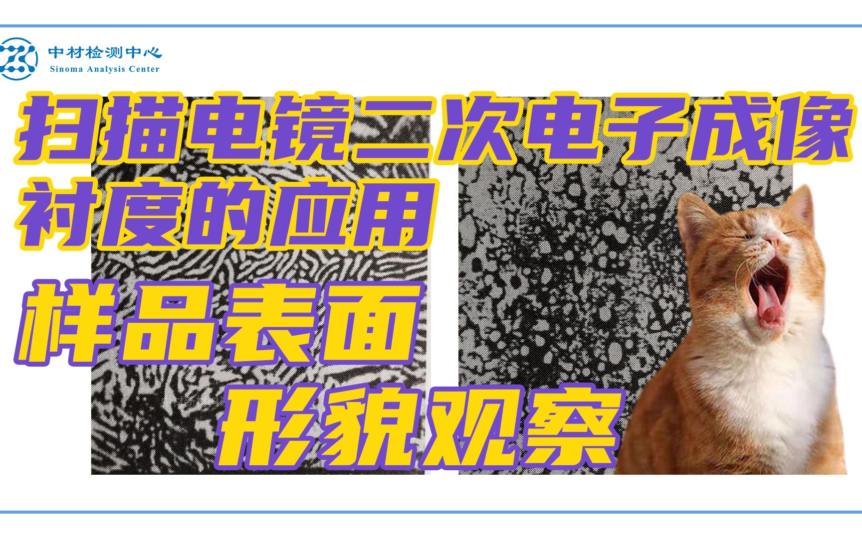 样品表面形貌观察——SEM测试(扫描电镜)基础知识