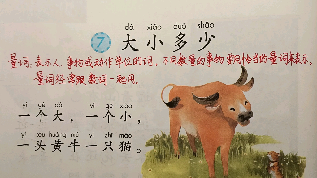 一年级语文上册:7《大小多少》课文讲解,学习量词的用法