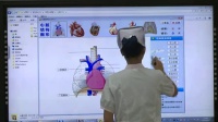 中职组信息化课堂教学比赛_怦然心动——心的结构_张 岩 - 副本