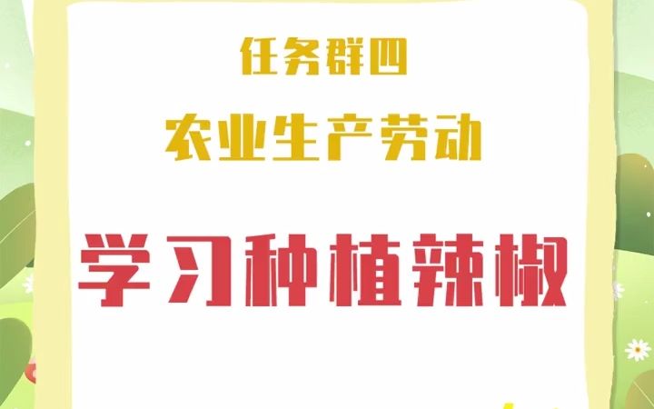 中小学劳动教育(社会实践)课程—种植辣椒