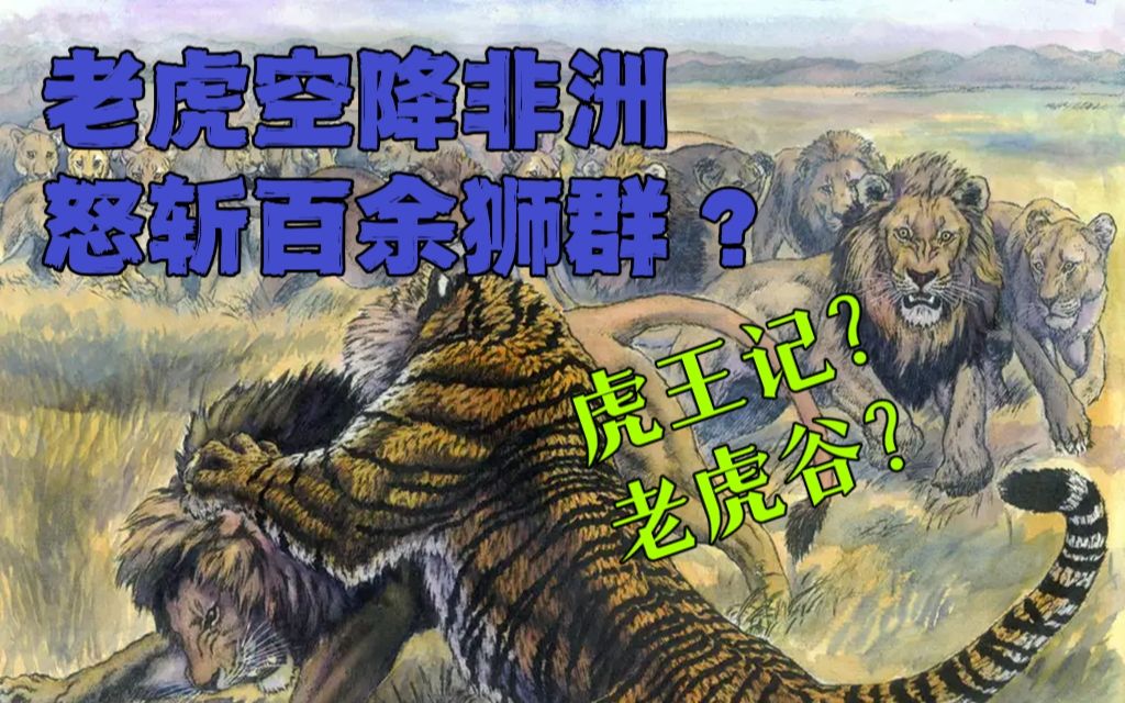 老虎空降非洲灭绝当地狮群!虎啸非洲破坏了生态?来看看现实中的老虎...