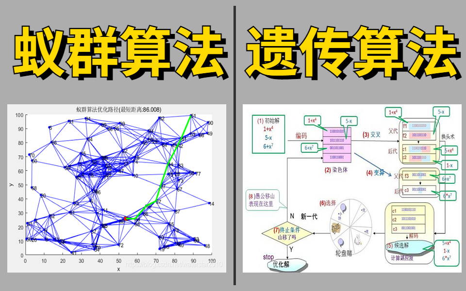 这绝对是我看到的最好优化算法,遗传算法与蚁群算法结合!清华大佬带...