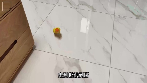 原来真的有像小狗一样的鹦鹉啊?!