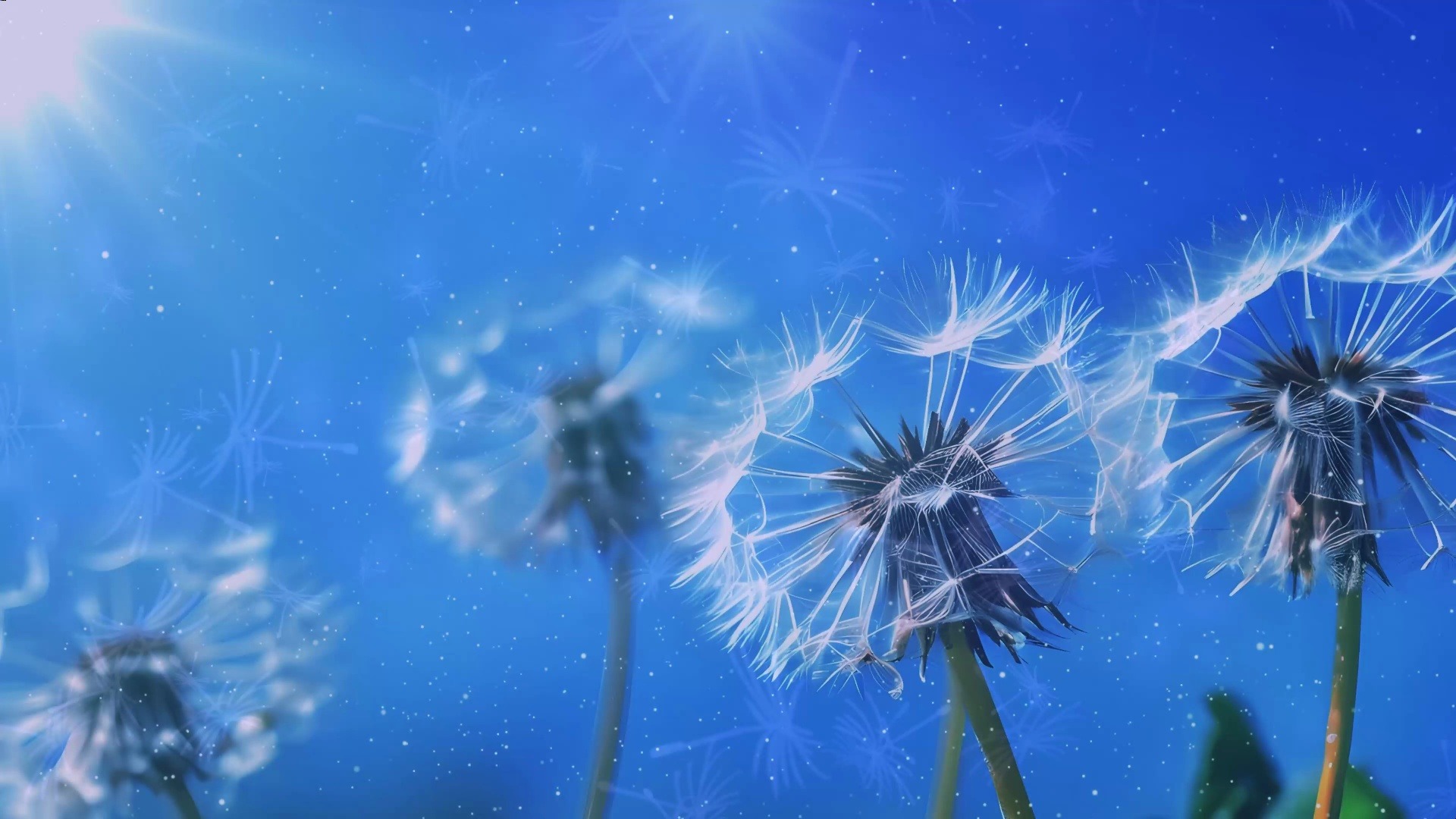 (j68y)刘德华回家的路配乐4k视频