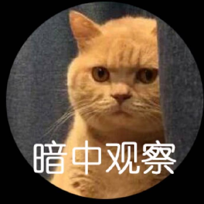 商业情报橘 