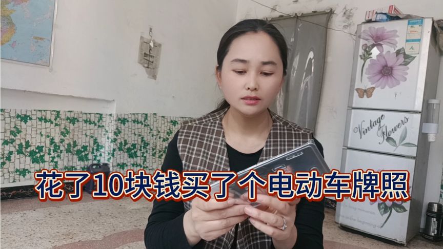 花了10块钱买了个电动车牌,我这边已经开始了,你们都办了吗。