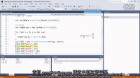 使用数据提示和数据可视化工具 - Visual Studio 2012 视频教程