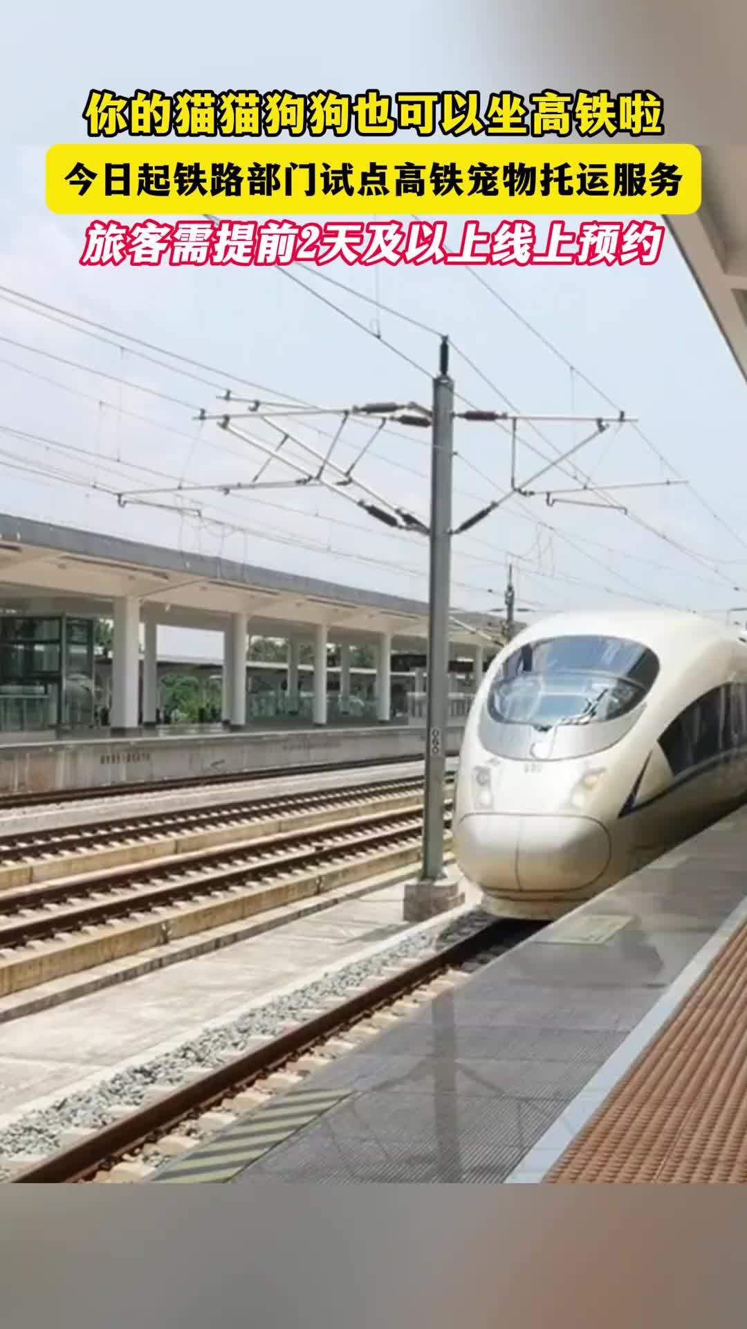 你的猫猫狗狗也可以坐高铁啦!从今日起,铁路部门试点高铁宠物托