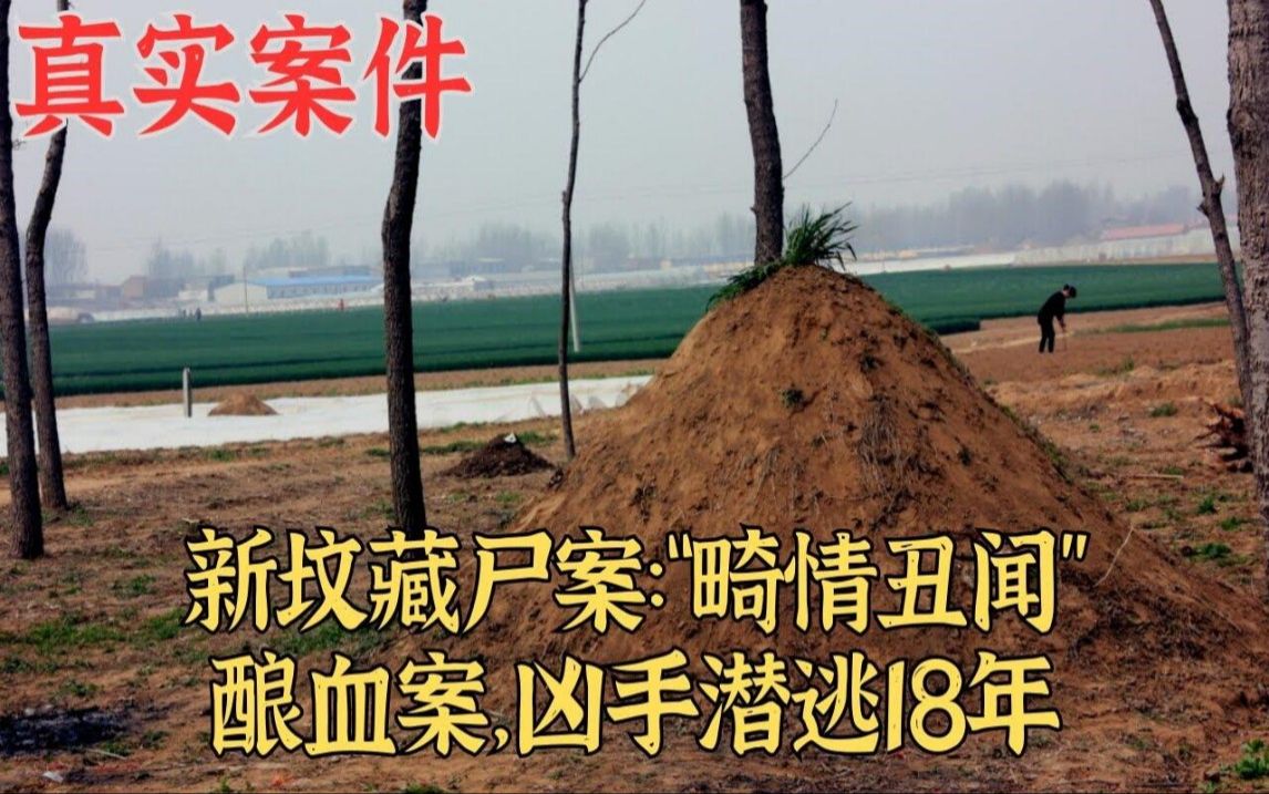 新坟藏尸案:“畸情丑闻”酿血案,凶手潜逃18年|真实案件