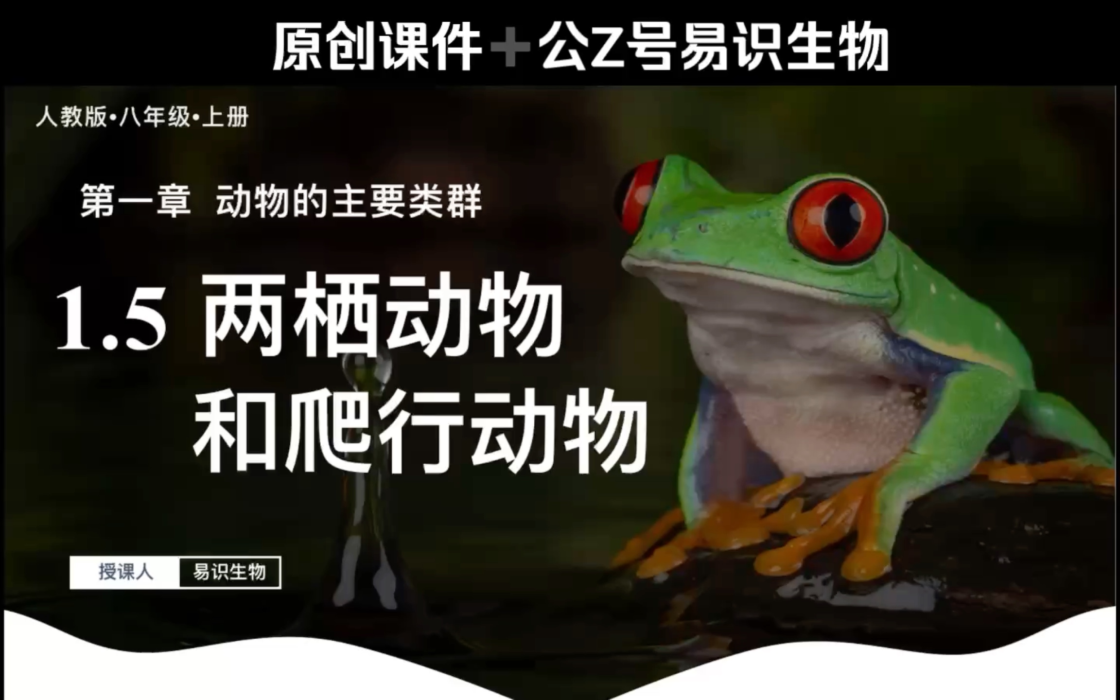 人教版生物八年级上册《两栖动物和爬行动物》