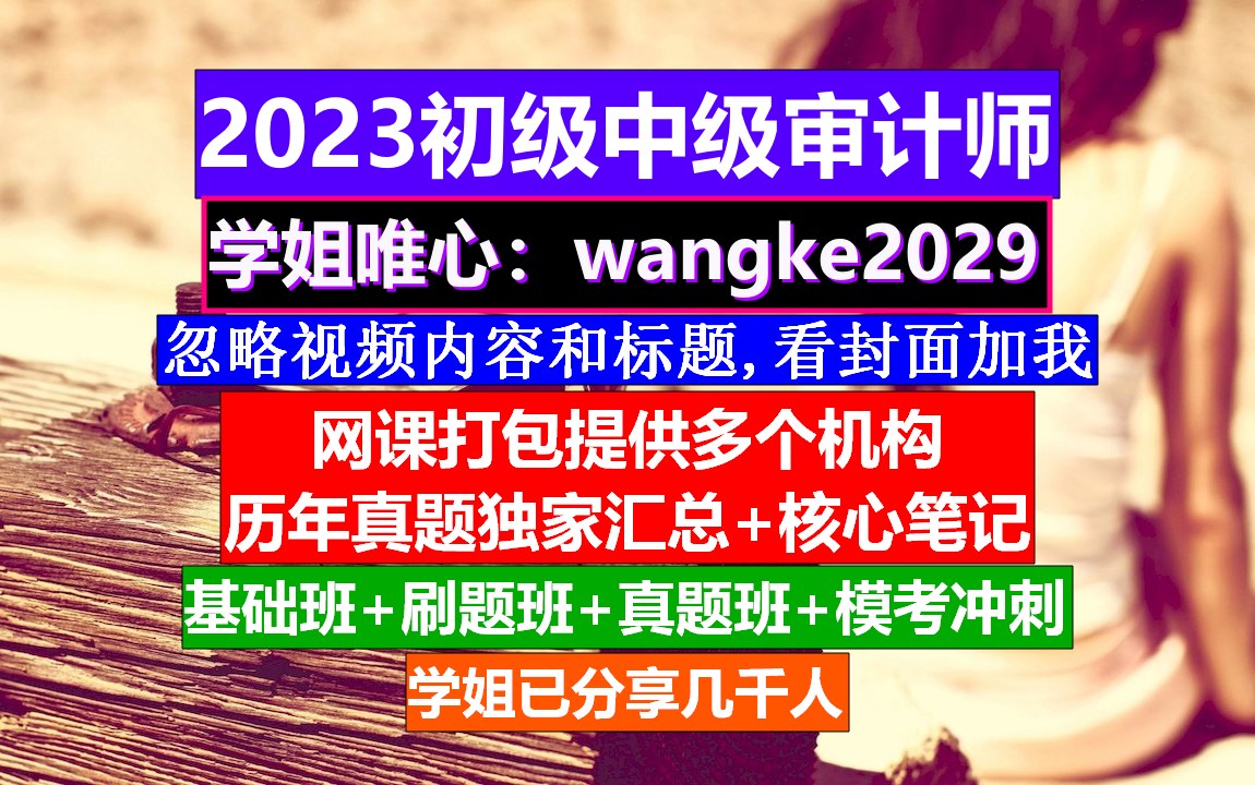 审计师,审计师考试真题汇总及答案,审计师考试科目及时间安排