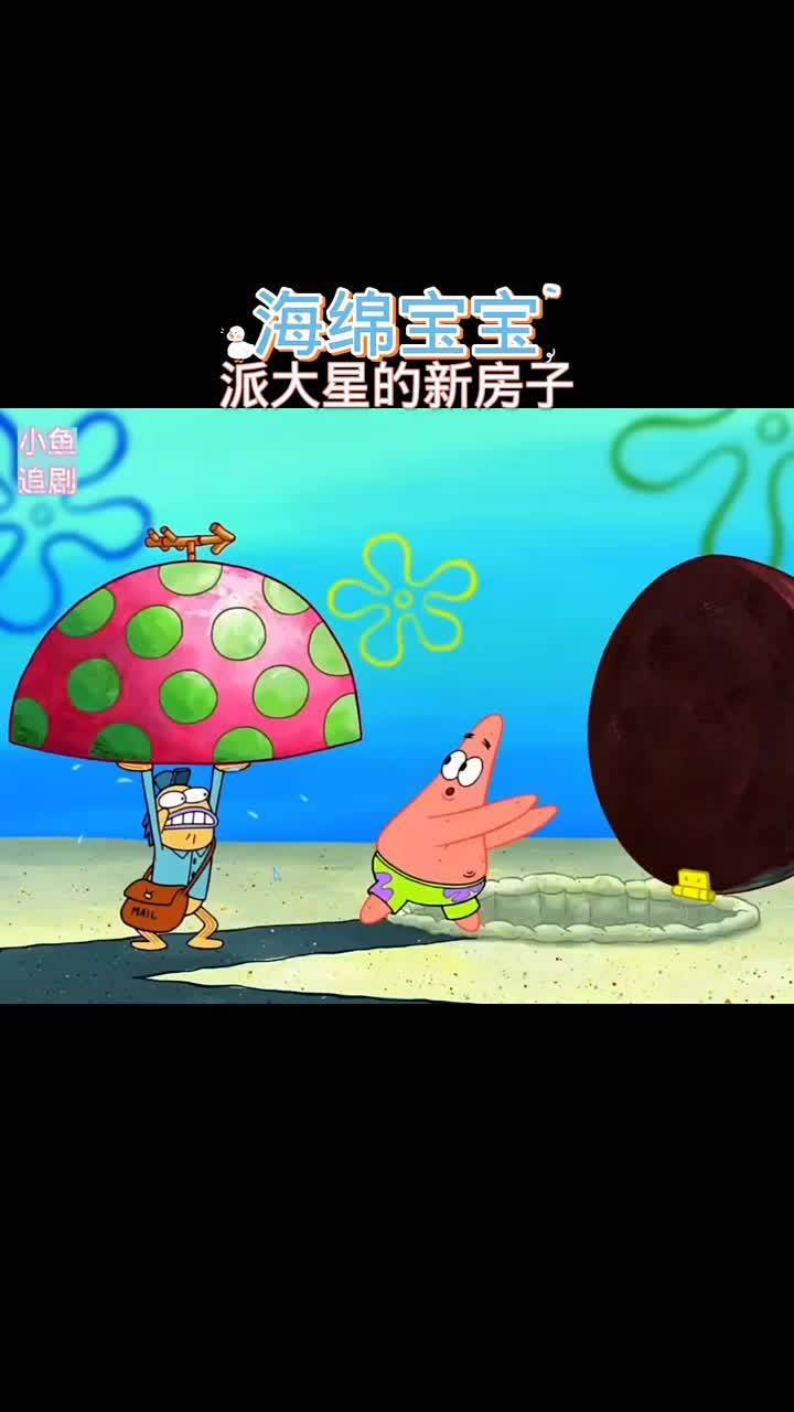 《海绵宝宝》派大星的新房子