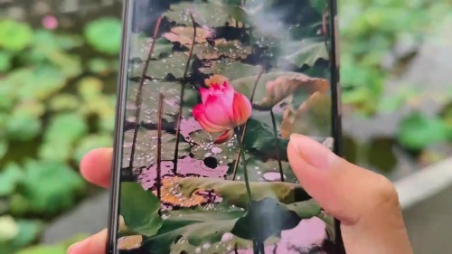 当你打开真我gt7pro的街拍模式时