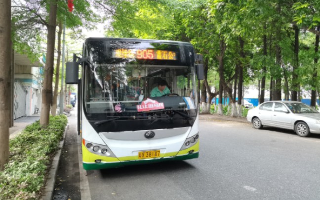 【云乘车-26】顺德公交905路宇通E8纯电动客车体验
