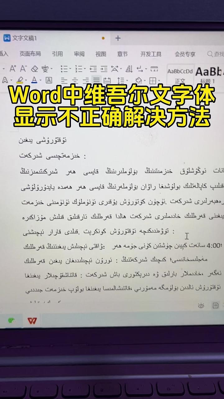 Word 中如何解决维吾尔文字体显示不正确问题#教程 #办公软件 #office...