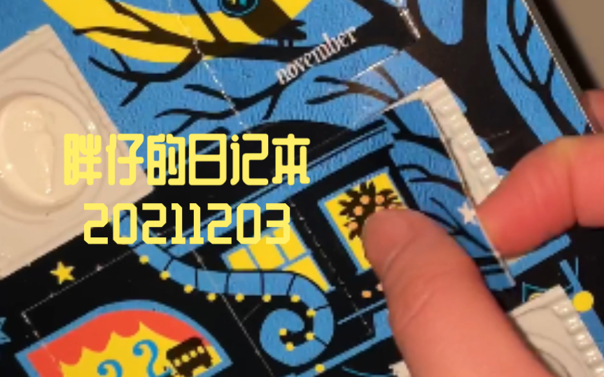 一天一盲盒-D21 AH的圣尼古拉斯节日历～|胖仔的荷兰日记 20211203