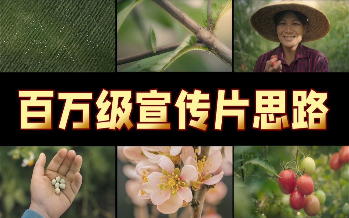 【剪辑干货】-百万级宣传片剪辑思路-你是否具备导演思维?