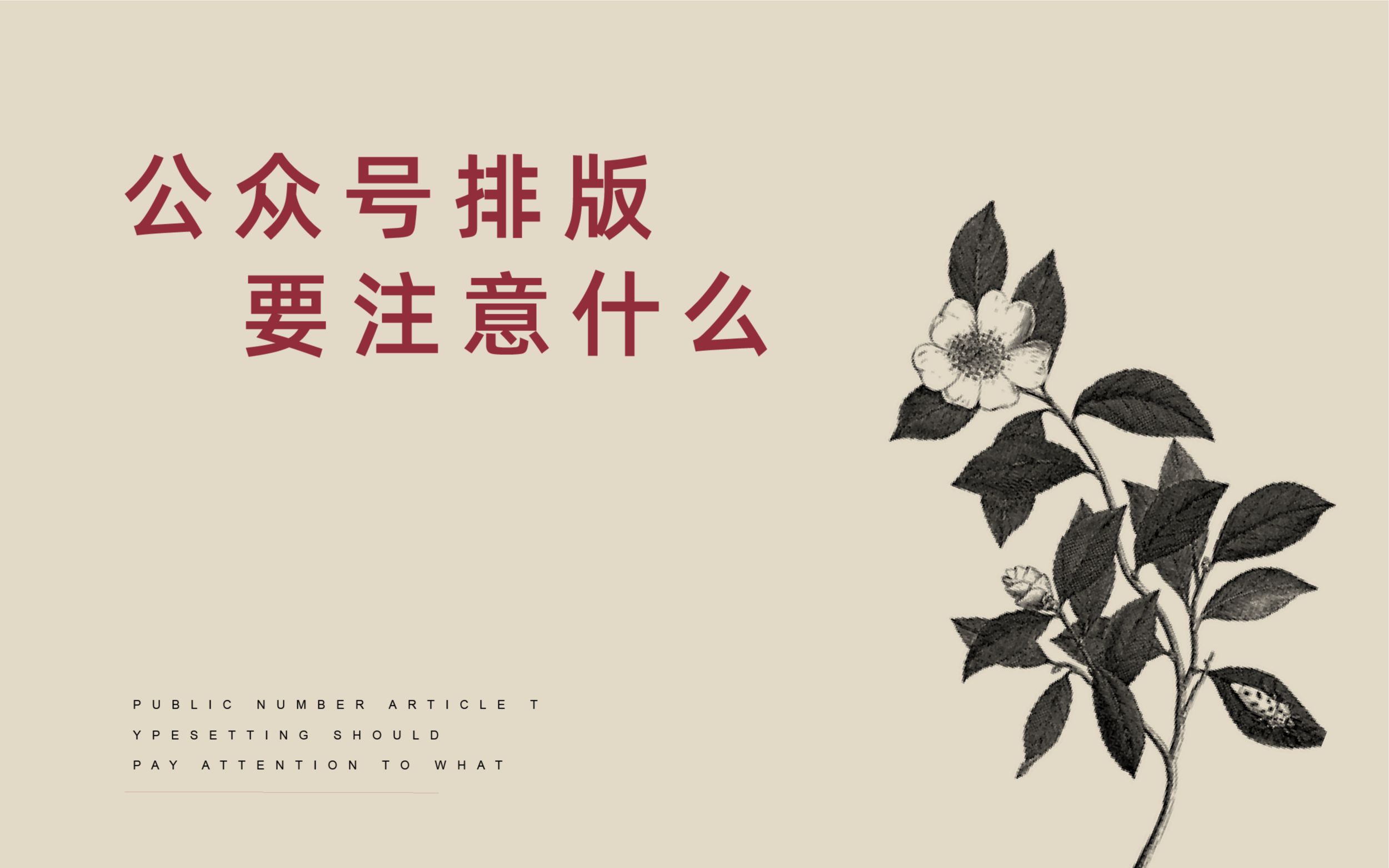 公众号排版要注意什么