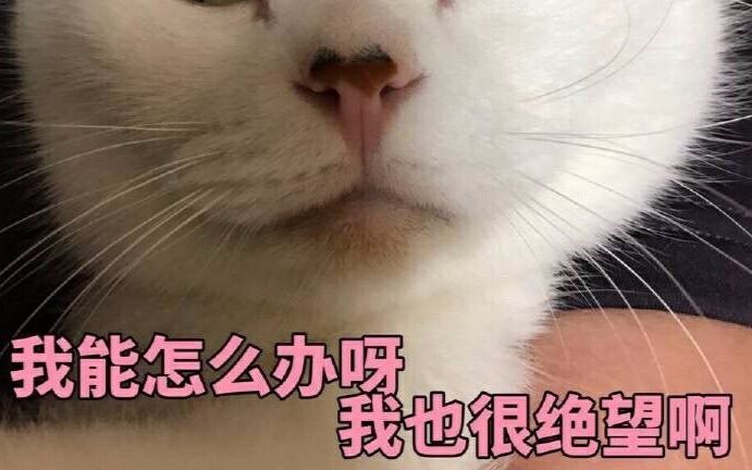 20170328《娘家姐妹花》我的无性婚姻 感觉嫁了假老公