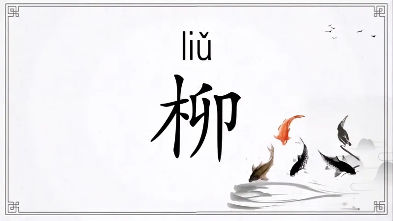 百家姓柳,柳字笔画顺序动画演示