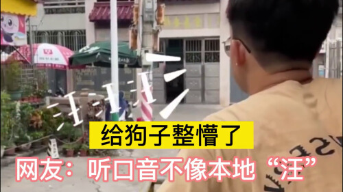 男子模仿狗叫 给狗子整懵了 网友:听口音不像本地“汪”