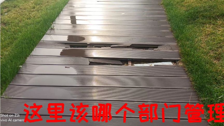 这里该哪个部门管理。