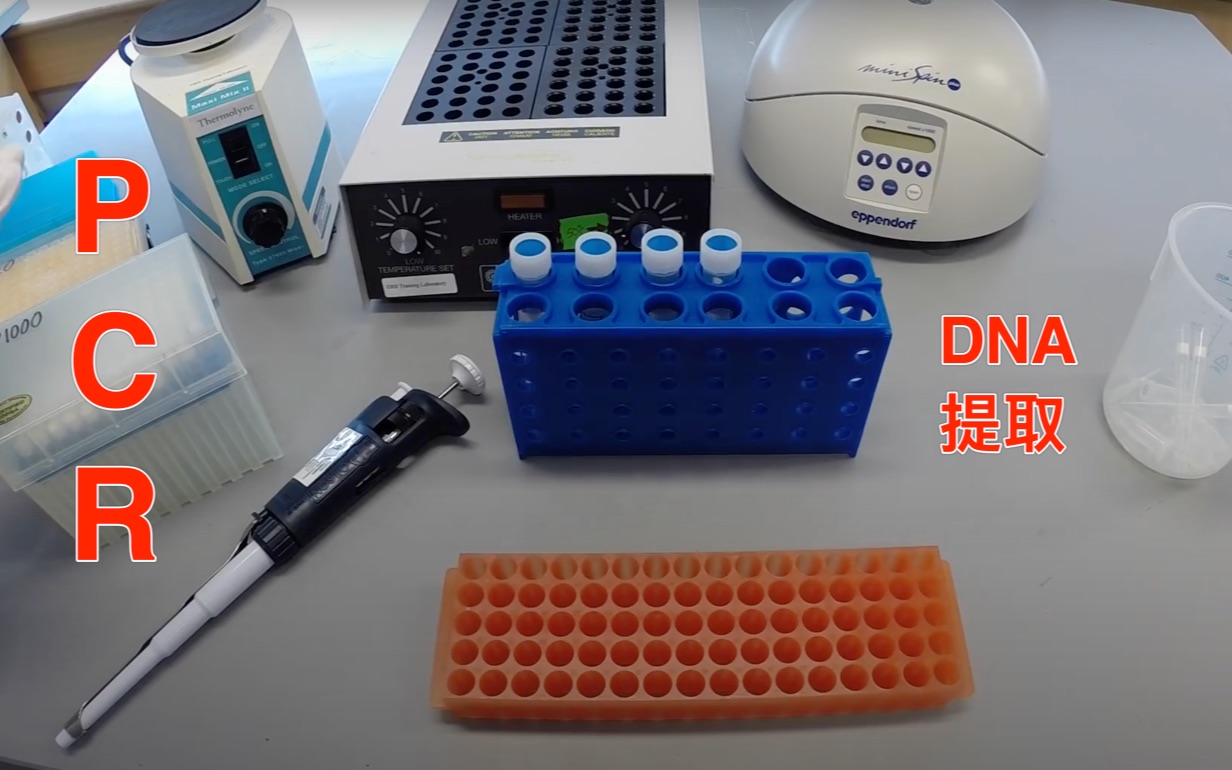 PCR步骤一:DNA提取(Protocol 1 - DNA Extraction Part 1)