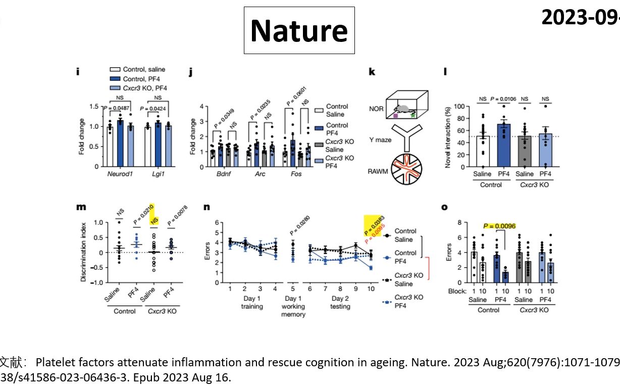 Nature—血小板因子可抑制炎症反应并改善认知衰老