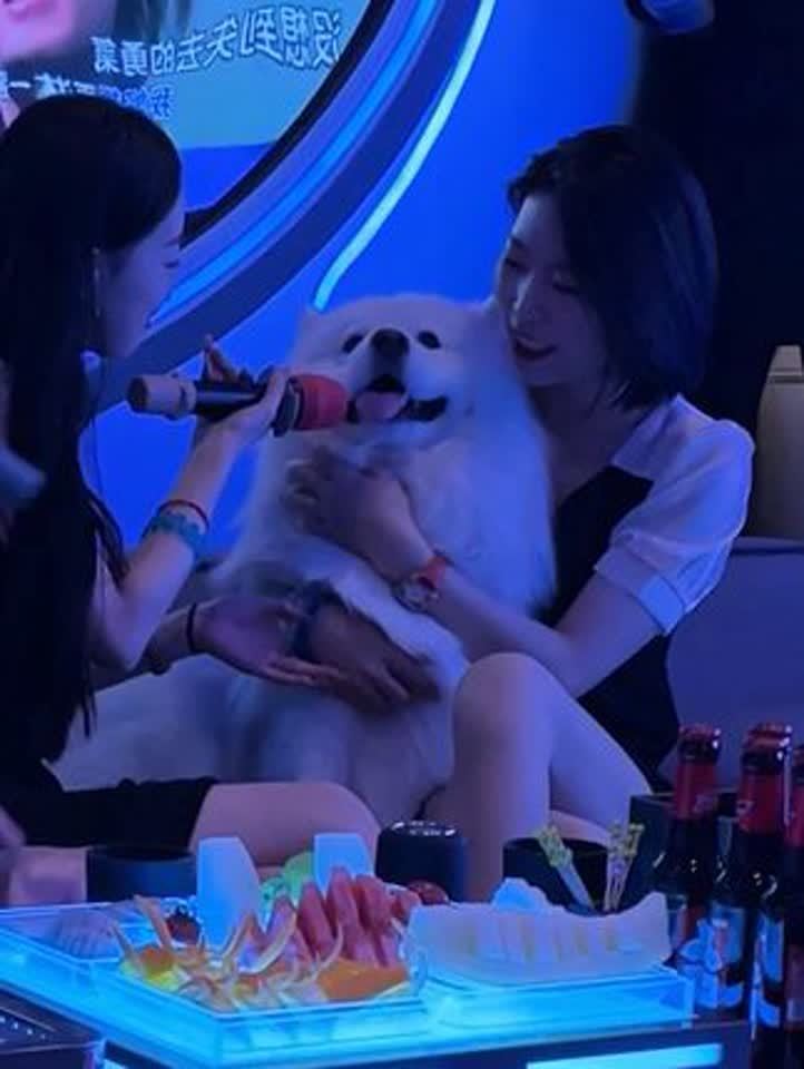 大白:玩归玩,闹归闹,娱乐场所勿拍照创作灵感ktv正确打开方式迪厅小狗