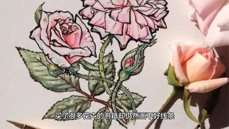 喜欢画花卉的朋友们,想要轻松掌握针管笔花卉的画法吗